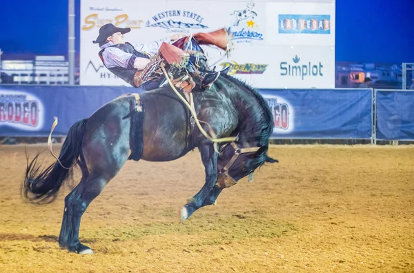 Rodeo poster Stock Photos, Royalty Free Rodeo poster Images | Depositphotos