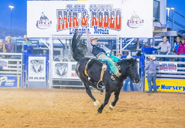 Clark County Fair and Rodeo - Stock Image - Everypixel