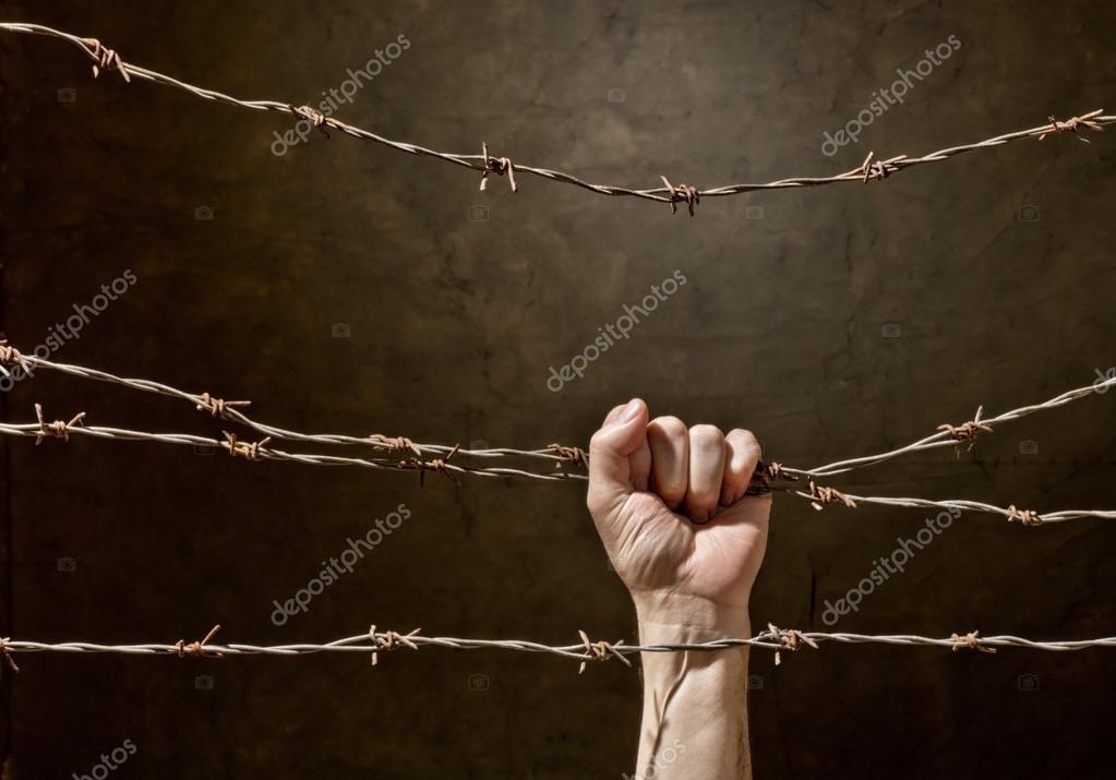 Hand behind barbed wire — Stock Photo © aaron007 #51892771