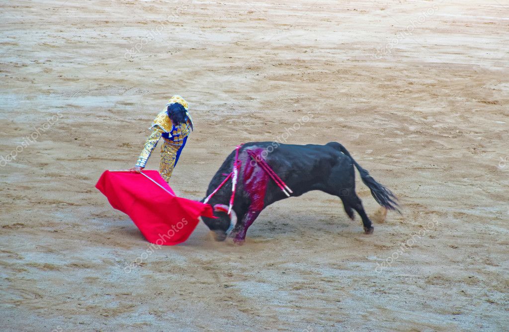 Bullfighter, the main performer in the sport of bullfighting teasing ...