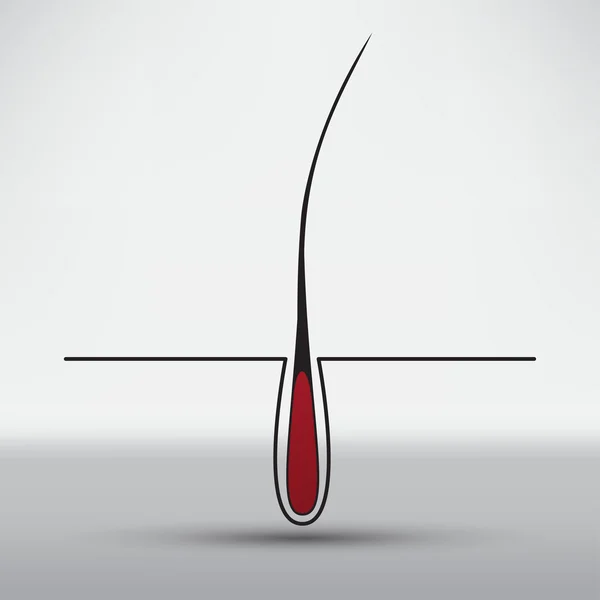 Hair Follicle Treatment Symbol Stock Vector Image By ©slasny1988 74823185