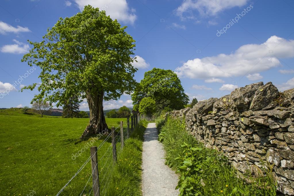 English Countryside View — Stock Photo © chrisdorney #112627578