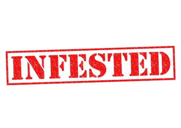 DRUNK Stock Photo by ©chrisdorney 56084401