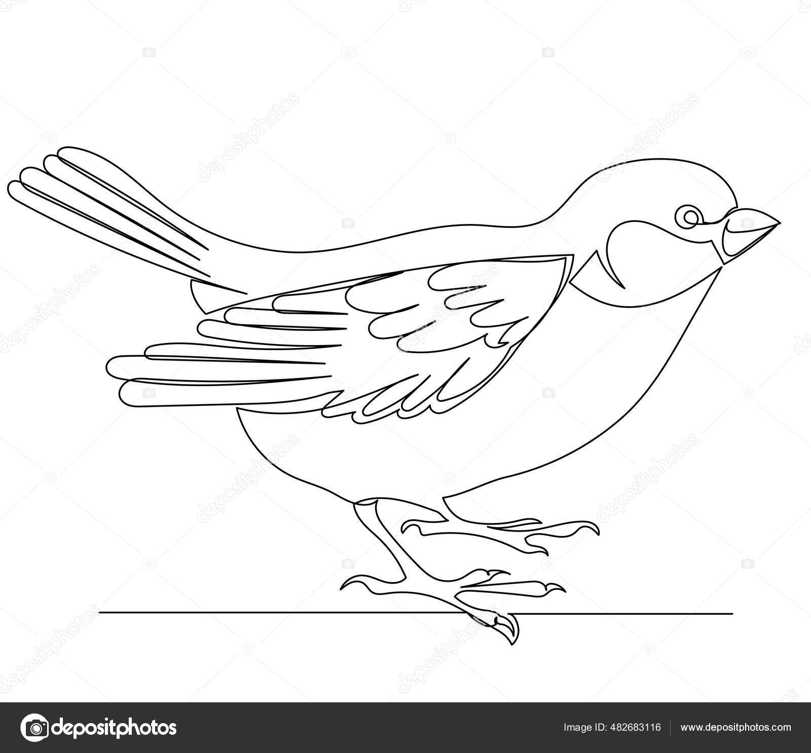 Sparrow Outline Drawing