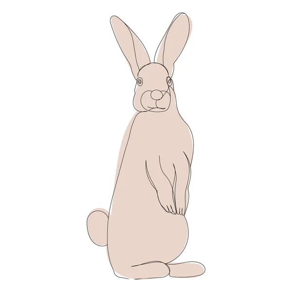 Standing Rabbit Sketch