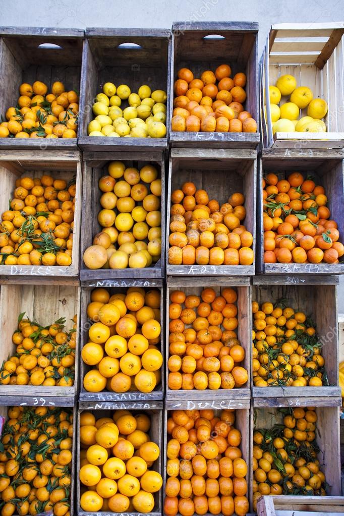 Cajas con naranjas mandarinas y cítricos naranja amarillo fresco 2024