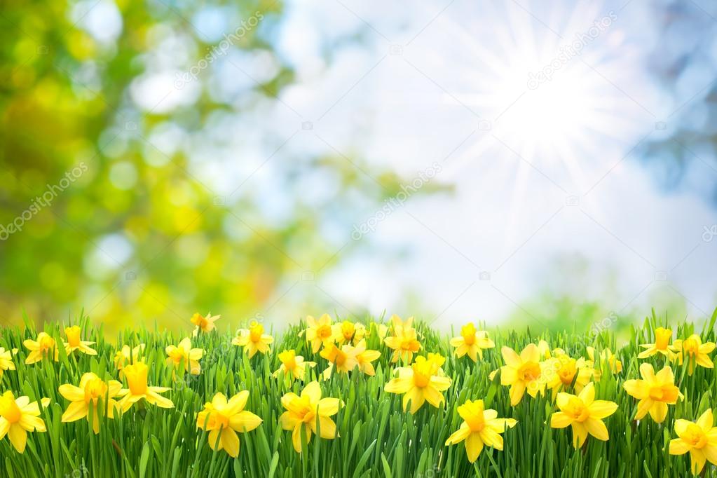 Spring Easter background — Stock Photo © alexraths #100239038