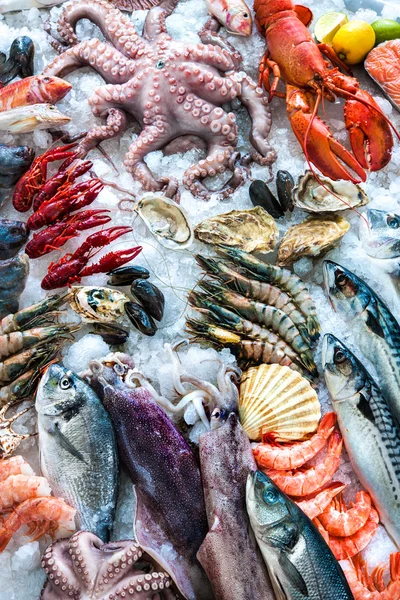 Seafood on ice ⬇ Stock Photo, Image by © alexraths #106069322