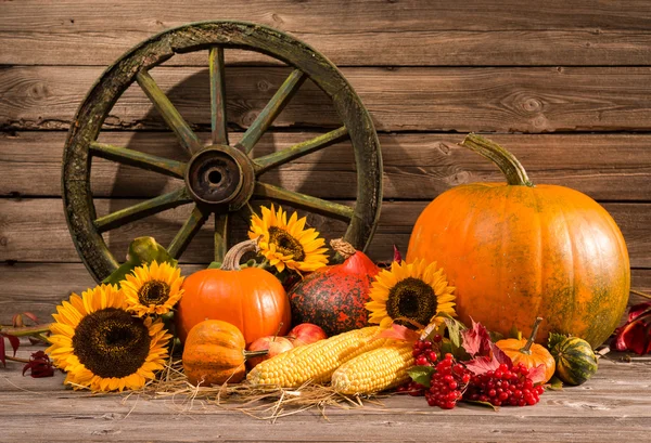 October Stock Photos, Royalty Free October Images | Depositphotos