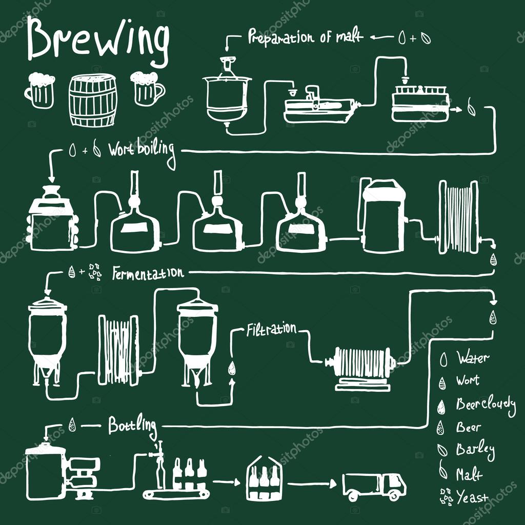 Beer Fermentation Process