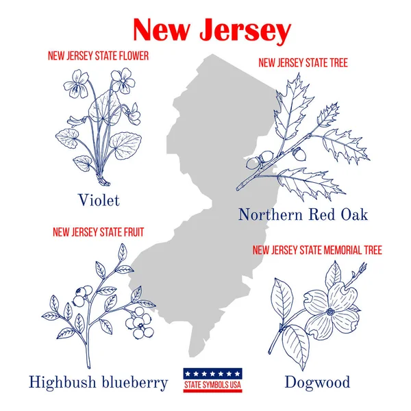 Dogwood tree Vector Art Stock Images | Depositphotos