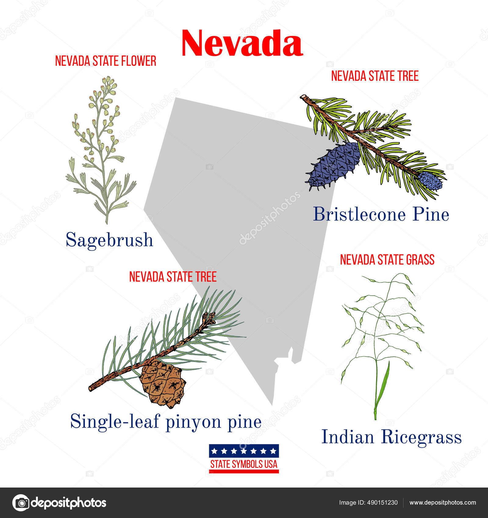 Nevada. Conjunto de símbolos estatales oficiales de EE.UU. Vector de ...