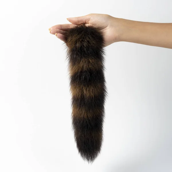 Human tail Stock Photos, Royalty Free Human tail Images | Depositphotos