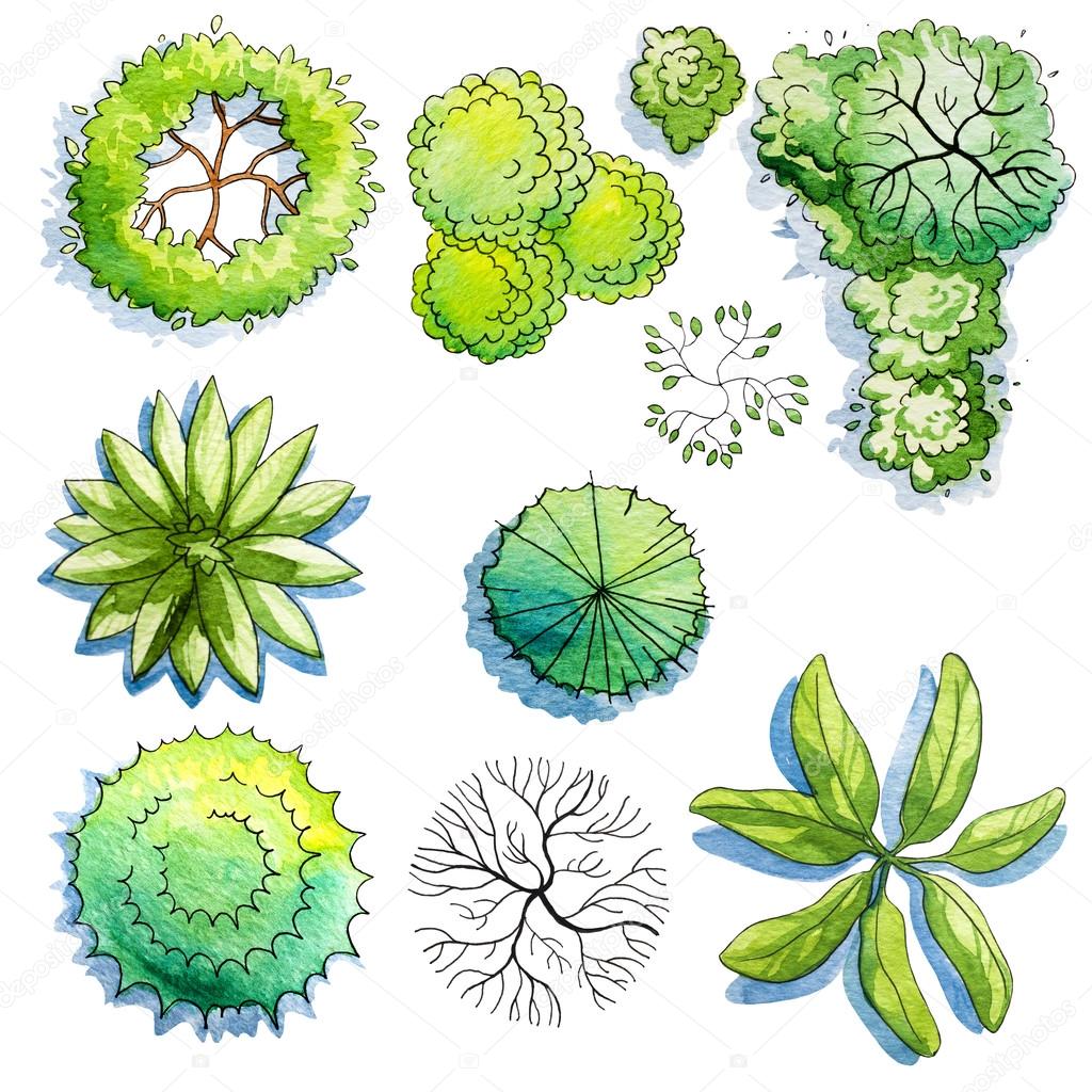 Set of watercolor trees. Top view. Stock Illustration by ©brontazavra ...