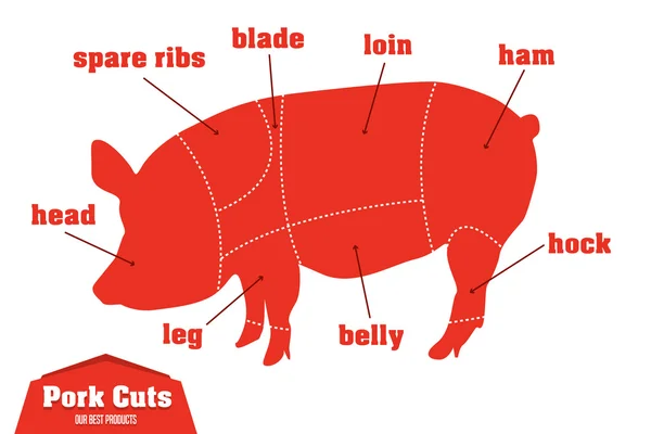 Pork cuts Stock Vectors, Royalty Free Pork cuts Illustrations ...