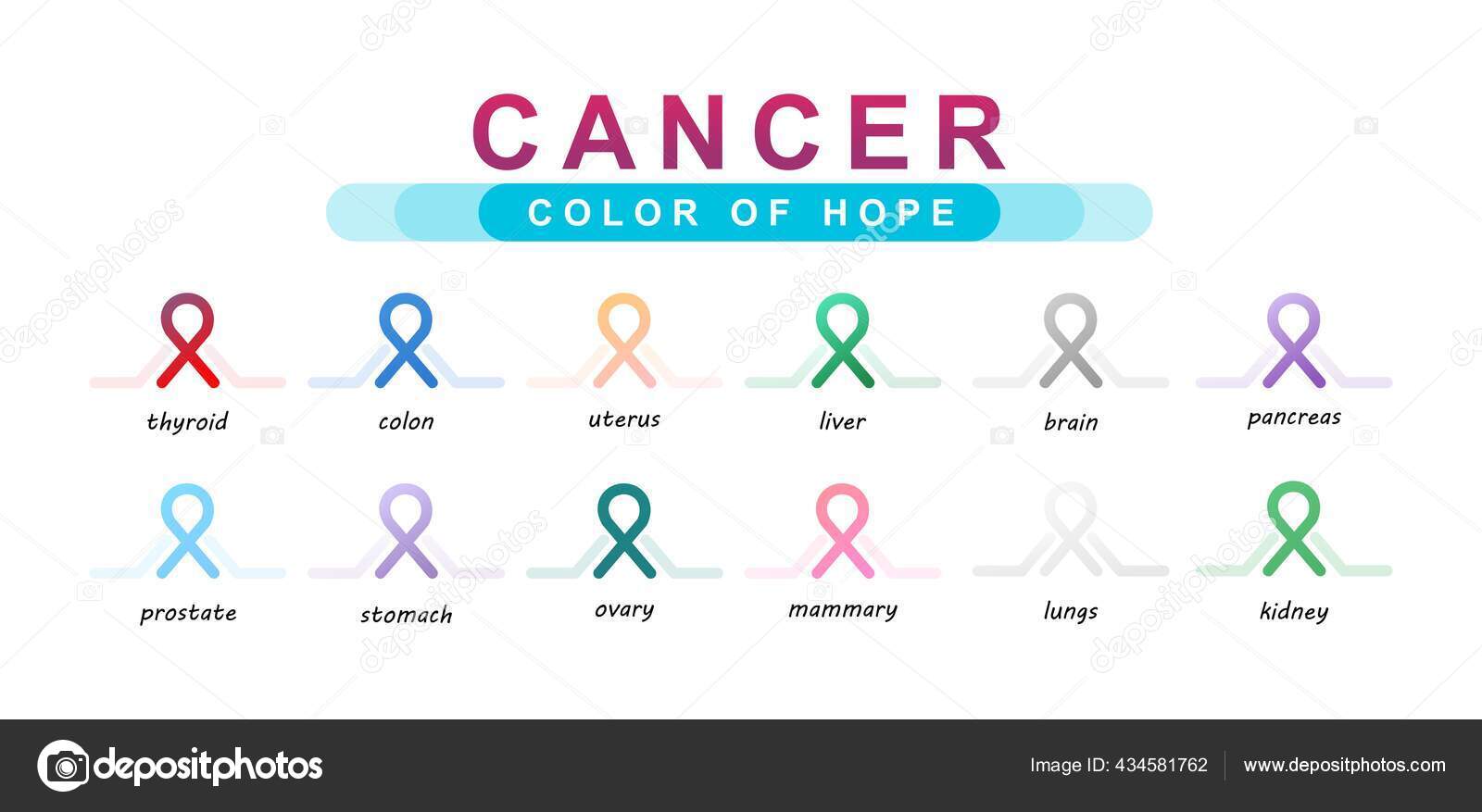 Set Multicolored Ribbons Symbol Cancer Internal Organs White Background ...
