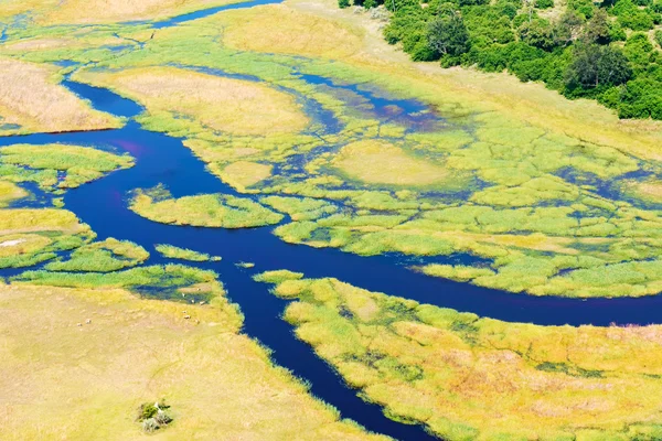 Okavango images libres de droit, photos de Okavango | Depositphotos