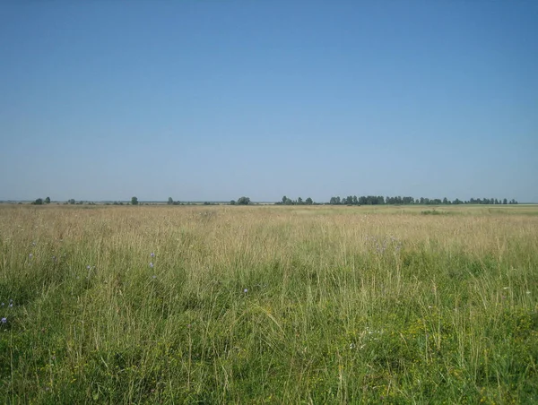 Cleared land Stock Photos, Royalty Free Cleared land Images | Depositphotos