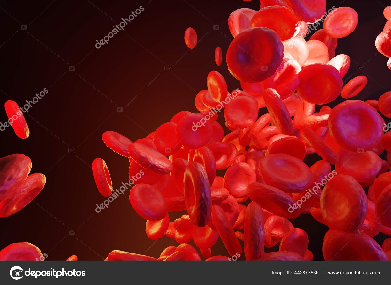 Human Red Blood Cells Microscope Movement Red Blood Cells Blood Stock ...