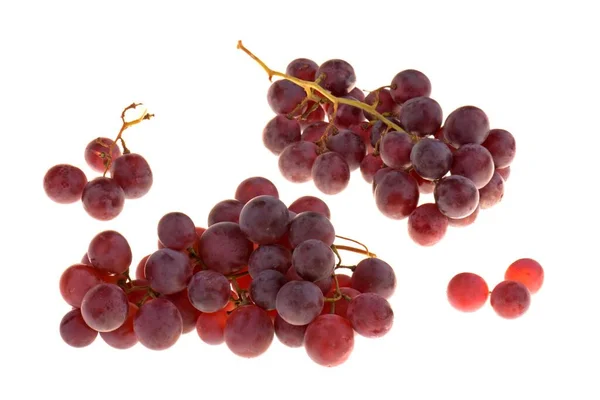 Grapes red Stock Photos, Royalty Free Grapes red Images | Depositphotos