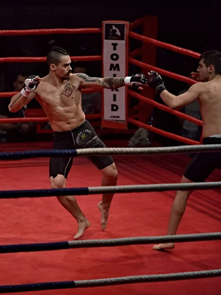 Strong fighter and his opponent during a fight in a ring Combat Fight ...