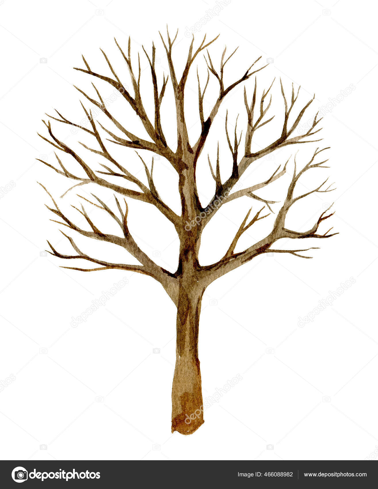 Silueta De Arbol Sin Hojas Imágenes De Arbol Silueta Sin Hojas