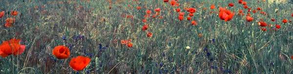 Ted hughes Stock Photos, Royalty Free Ted hughes Images | Depositphotos