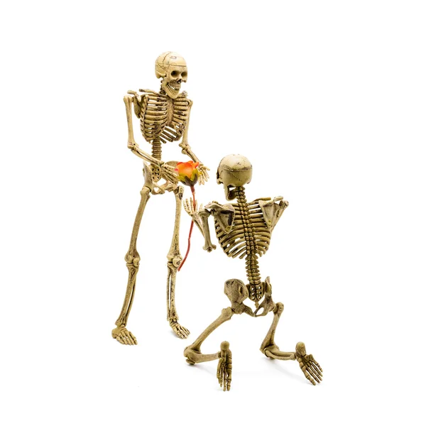 Skeleton couple Stock Photos, Royalty Free Skeleton couple Images ...