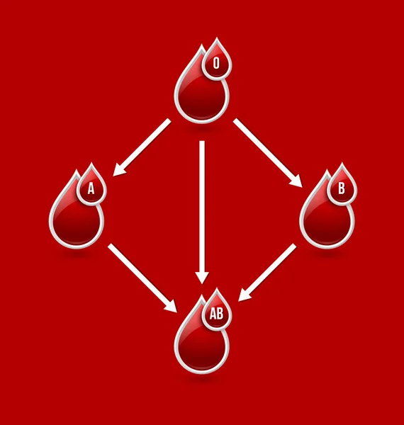 Red blood system Stock Photos, Royalty Free Red blood system Images ...