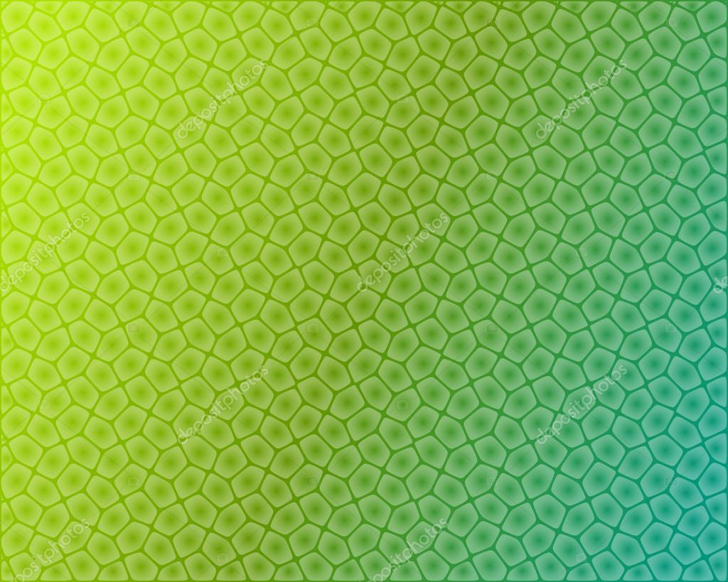 Plant cell wallpaper | Abstract plant cells background — Stock Vector ...