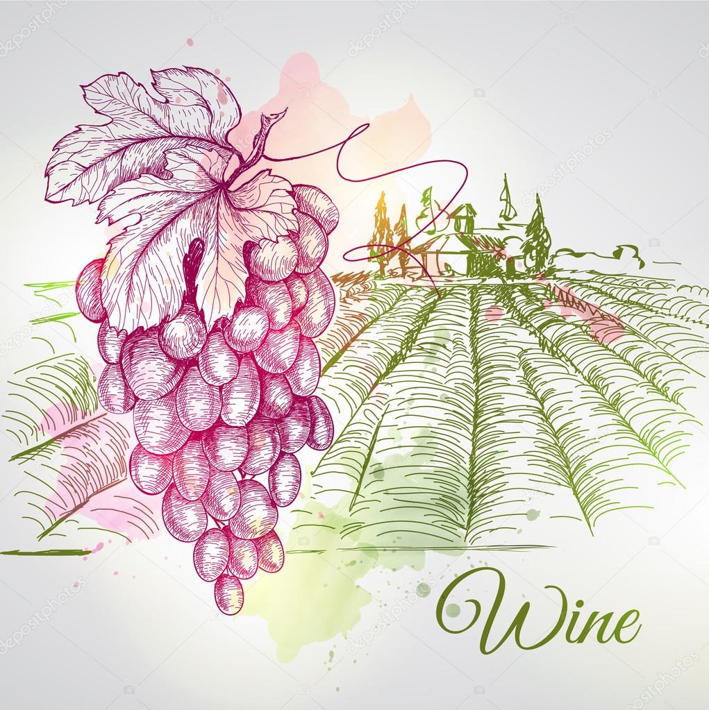 Hand drawn vector wine background Stock Vector by ©annbozshko 62411885