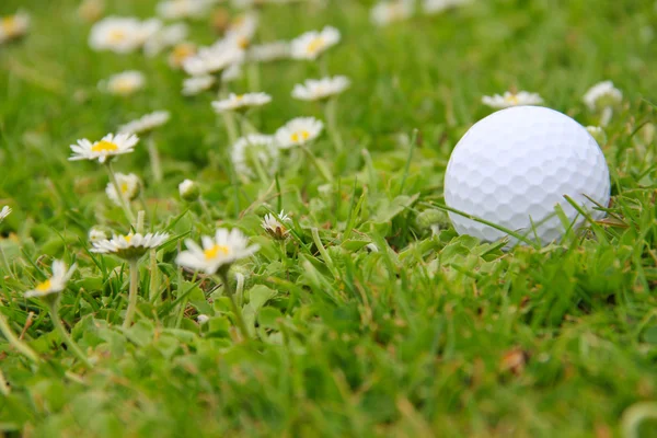 Golf flowers Stock Photos, Royalty Free Golf flowers Images | Depositphotos