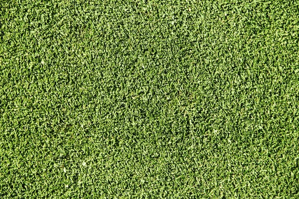 Astro turf background Stock Photos, Royalty Free Astro turf background ...