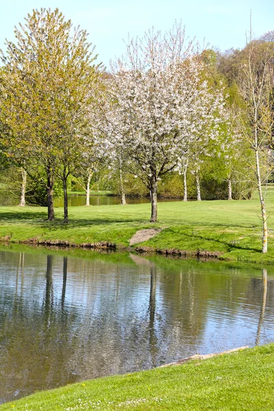 Golf course - Stock Image - Everypixel