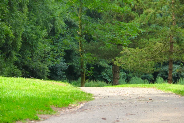 Walking a path Stock Photos, Royalty Free Walking a path Images ...