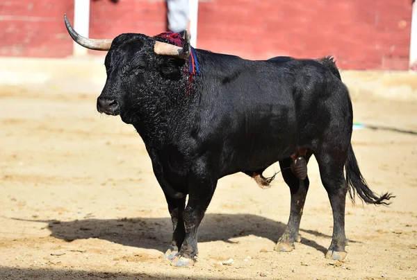 Mata mata Stock Photos, Royalty Free Mata mata Images | Depositphotos