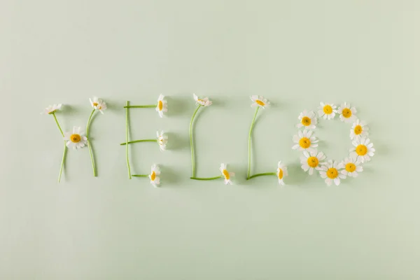 Hello spring Pictures, Hello spring Stock Photos & Images | Depositphotos®