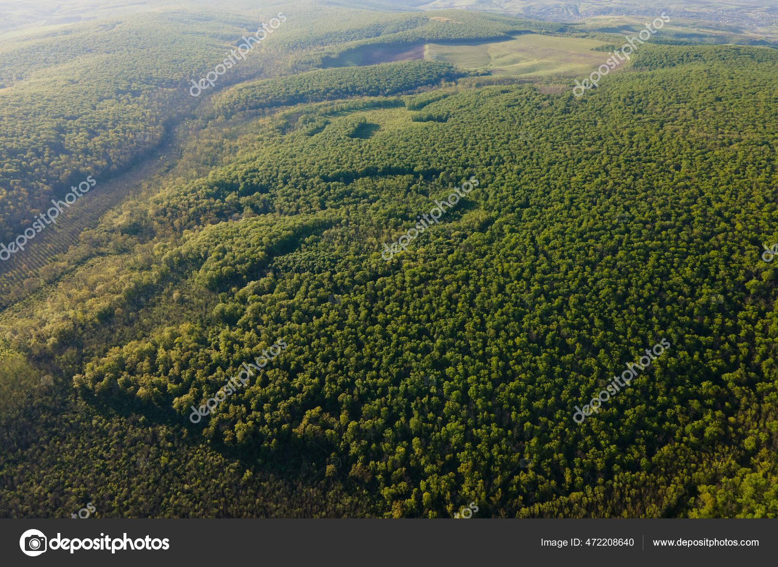 Summer in forest aerial top view. Mixed forest, summer colors ...