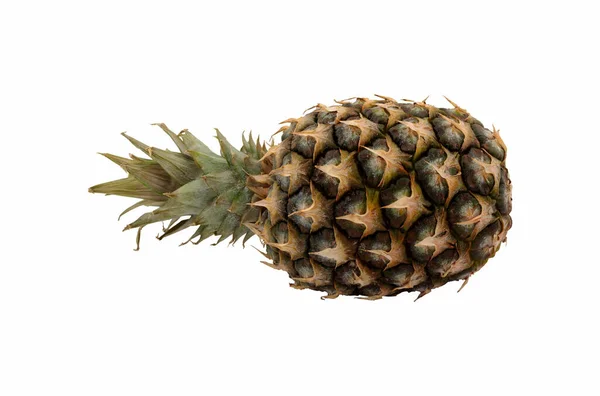 Pineapple stem Stock Photos, Royalty Free Pineapple stem Images ...