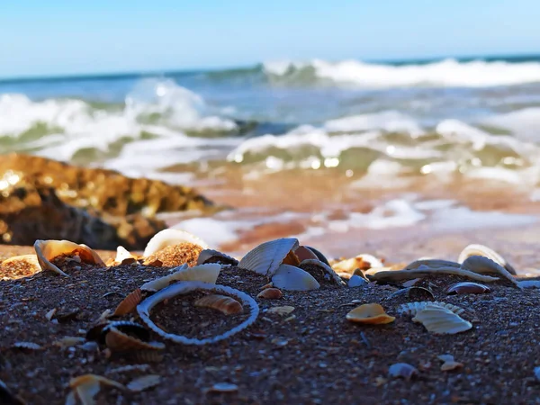 Rings on beach Stock Photos, Royalty Free Rings on beach Images ...