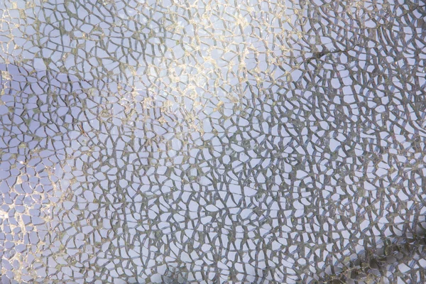 Pellicle Stock Photos, Royalty Free Pellicle Images | Depositphotos