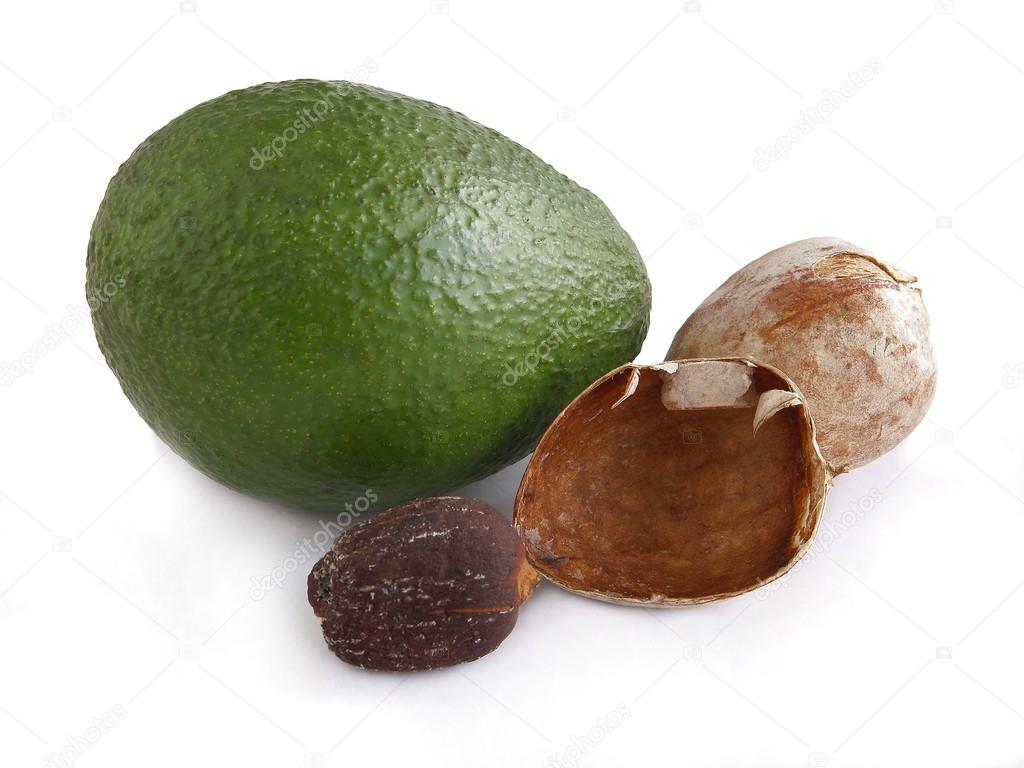 Green fruit and brown seed of avocado — Stock Photo © Manka #92880754