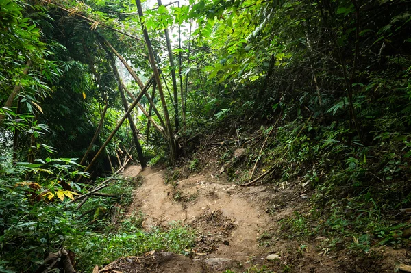 Soil path in natural park Stock Photo by ©sayhmog 107123164