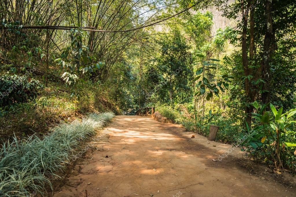 Soil path in natural park Stock Photo by ©sayhmog 107123164