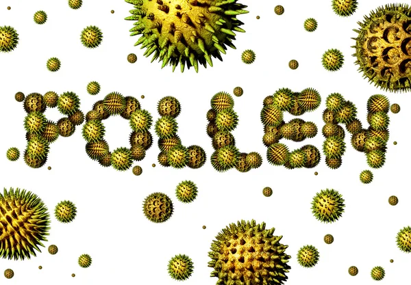 Pollen Health Risk - Stock Image - Everypixel