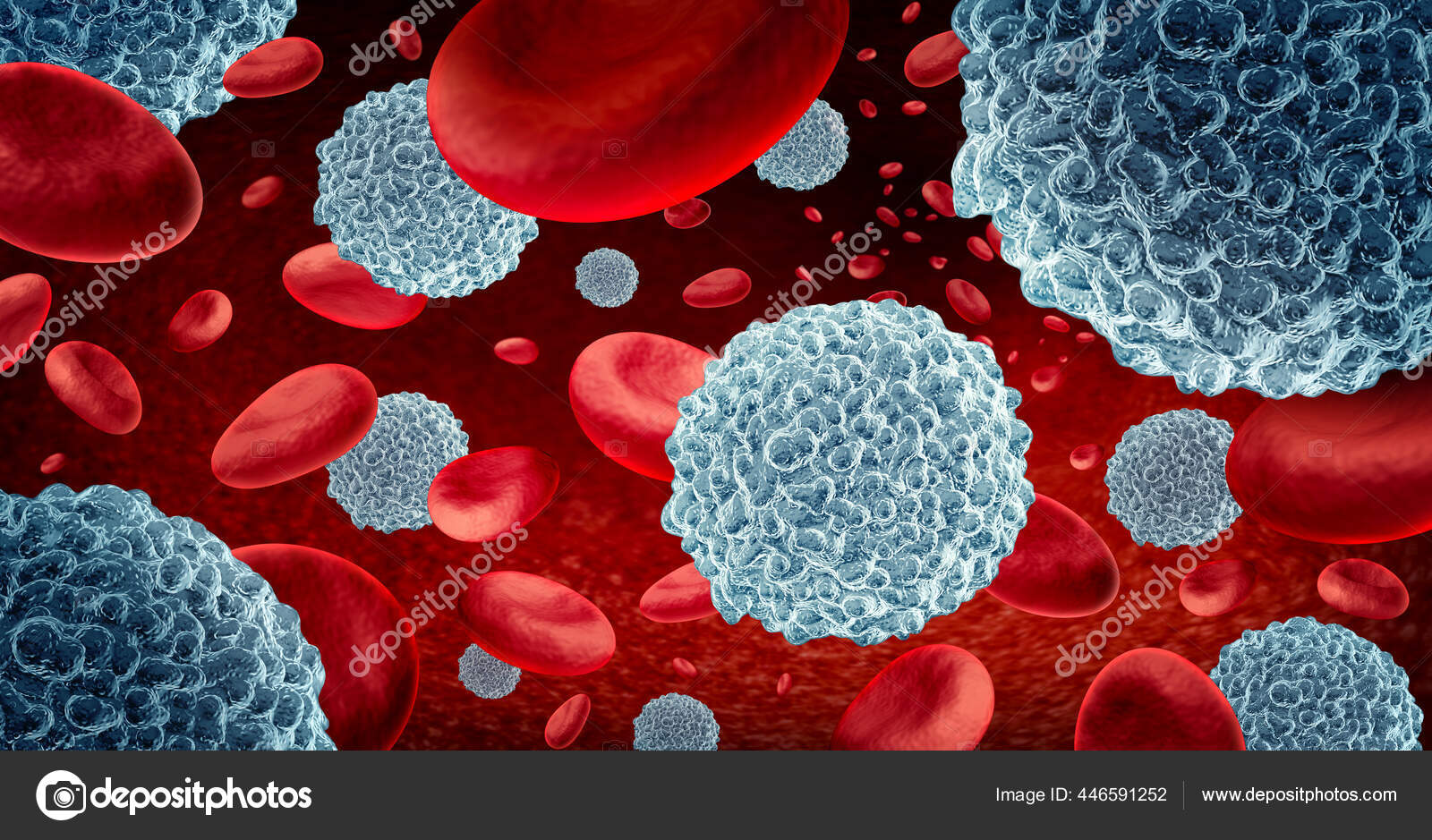 White Blood Cells Immunotherapy Lymphocyte Cells Blood Concept Immune ...