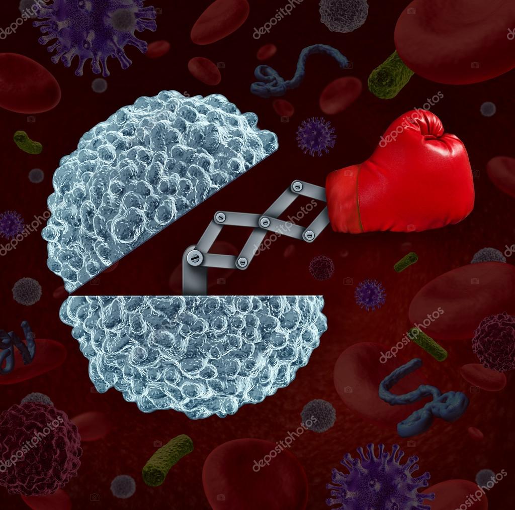 Immune System — Stock Photo © lightsource #53758983