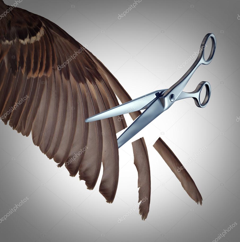 Losing Freedom — Stock Photo © lightsource #54511923