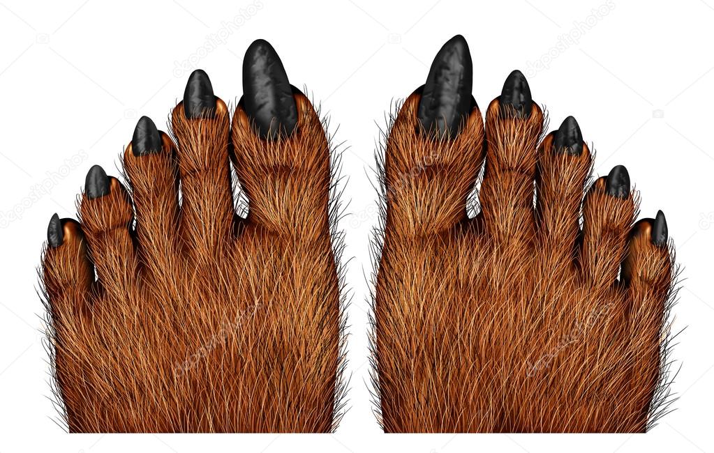 Werewolf Feet — Stock Photo © lightsource #77876644