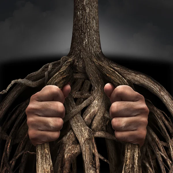 Roots Stock Photos, Royalty Free Roots Images | Depositphotos